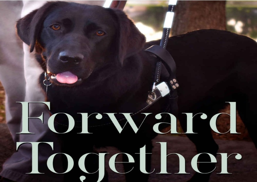 Forward Together: An Inside Look at Guide Dog Training - Book Corner
